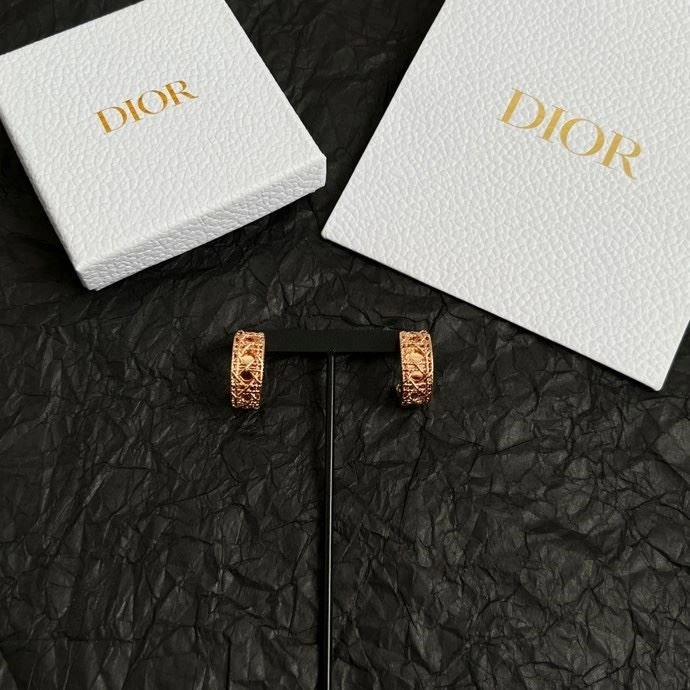 Accurate model Christian Dior Earrings