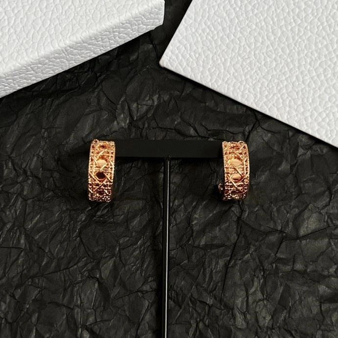 Accurate model Christian Dior Earrings