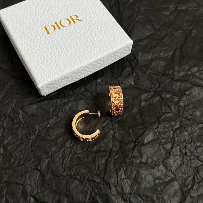 Accurate model Christian Dior Earrings