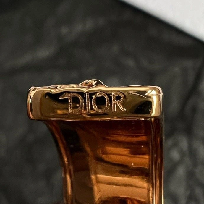 Accurate model Christian Dior Earrings