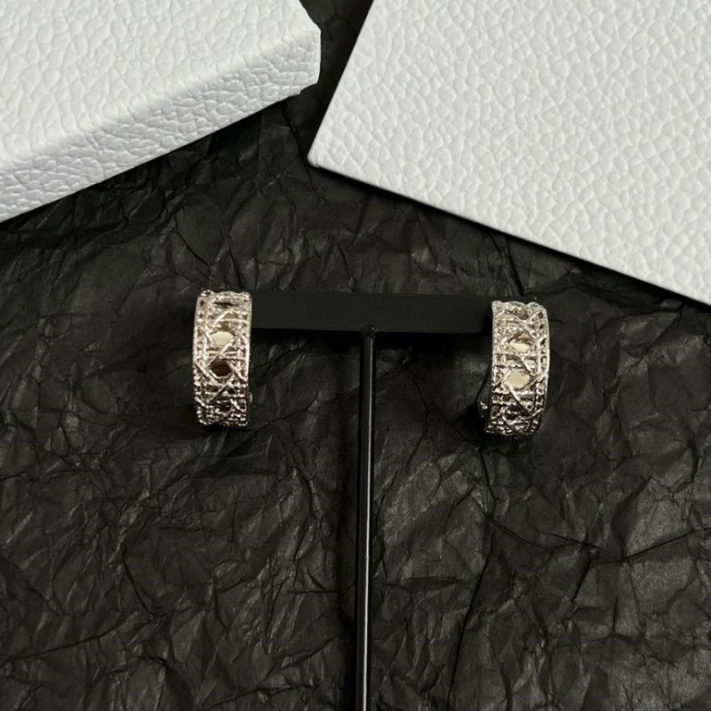 Brand-original Christian Dior Earrings