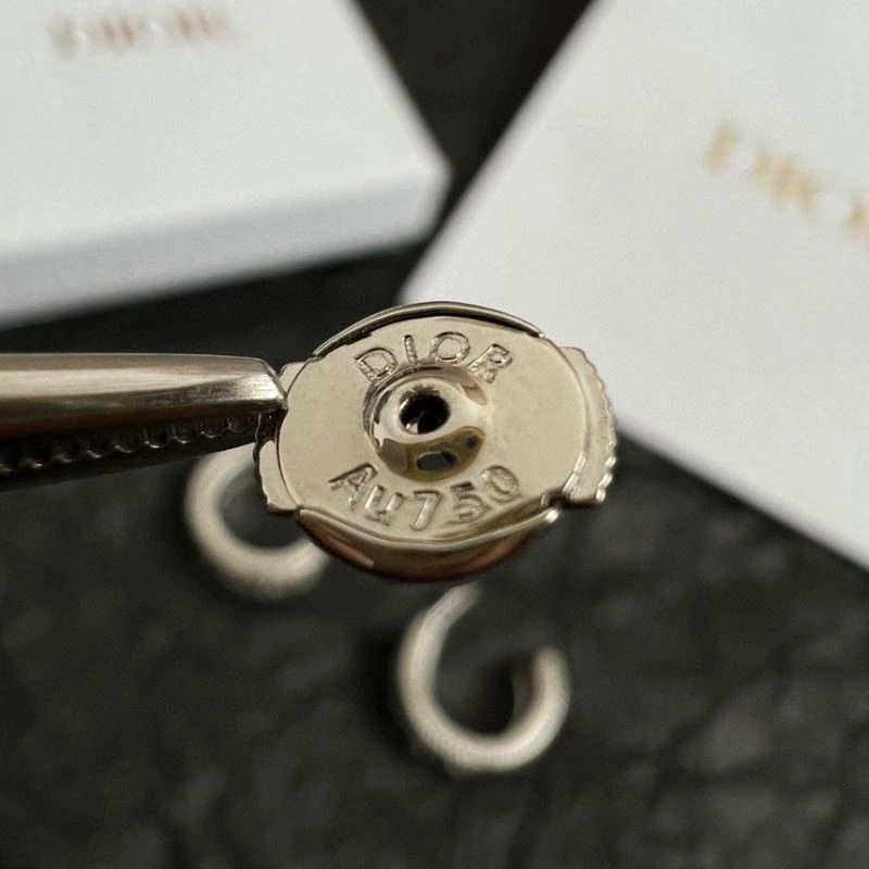 Brand-original Christian Dior Earrings