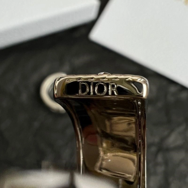 Brand-original Christian Dior Earrings