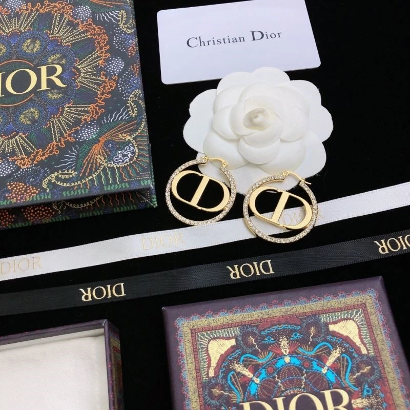 Cut-rate Christian Dior Earrings