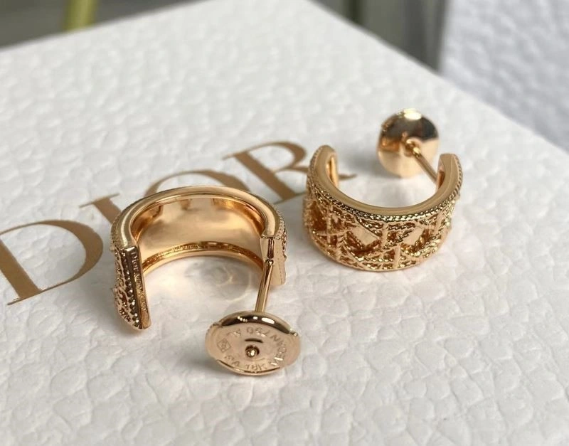 High accuracy Christian Dior Earrings