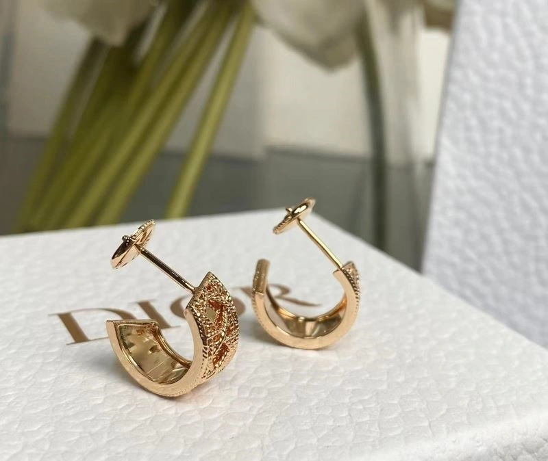 High accuracy Christian Dior Earrings