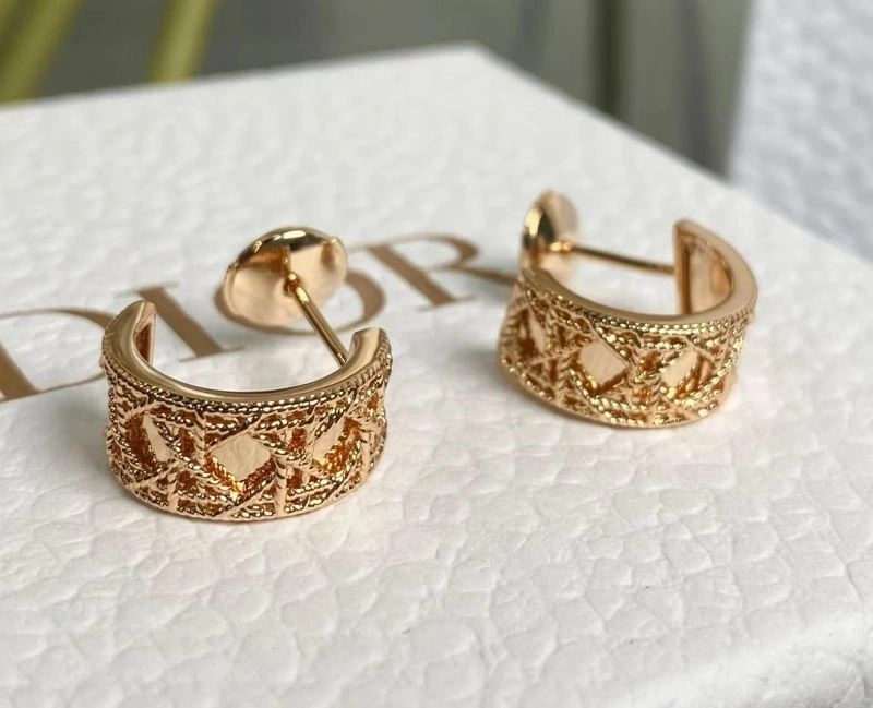 High accuracy Christian Dior Earrings