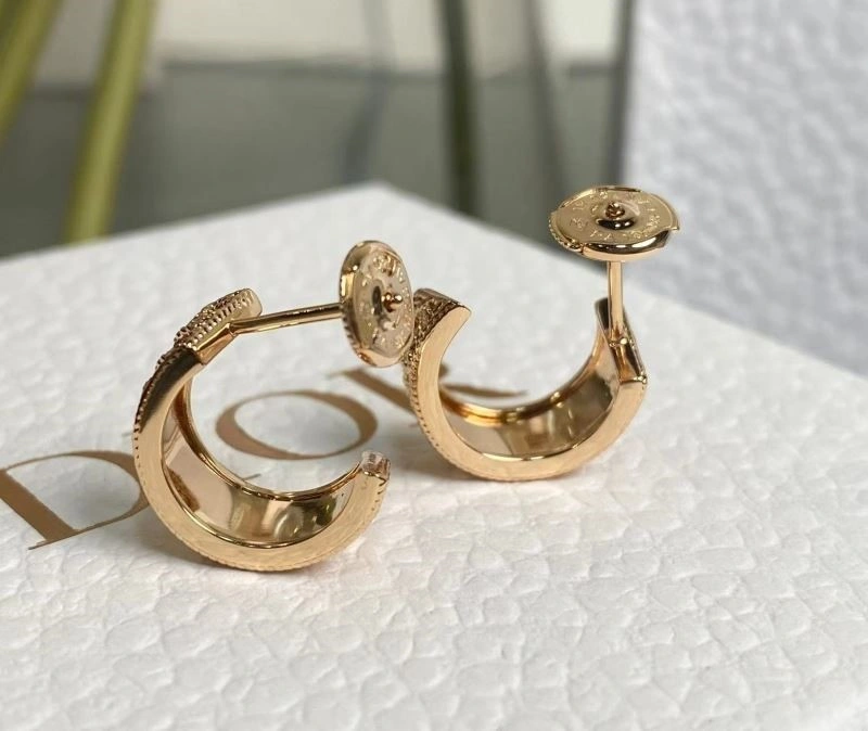High accuracy Christian Dior Earrings