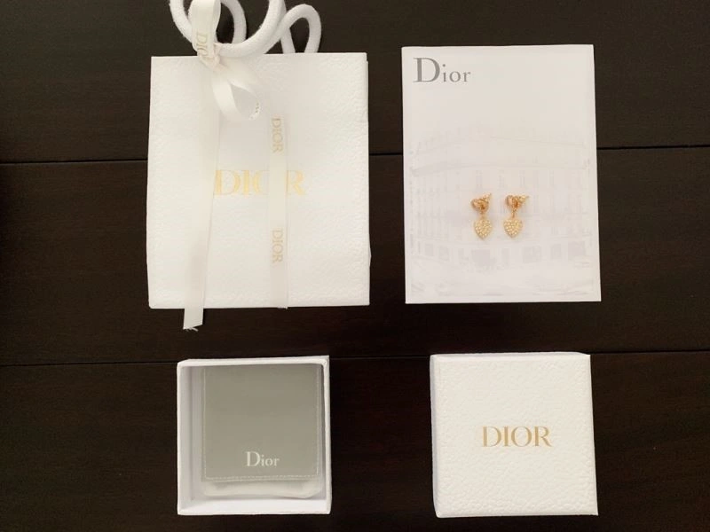 Precise copy Christian Dior Earrings