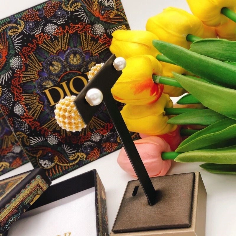 High fidelity Christian Dior Earrings