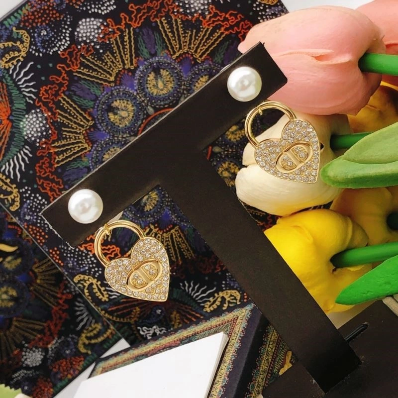 Mirror quality Christian Dior Earrings