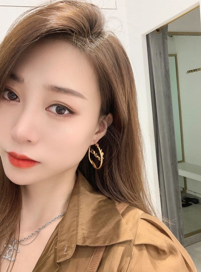 Mirror quality Christian Dior Earrings