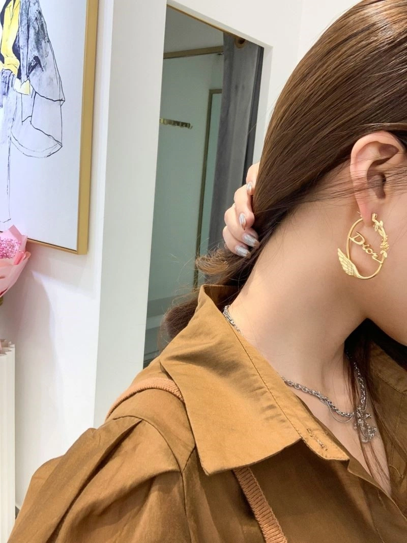 Mirror quality Christian Dior Earrings