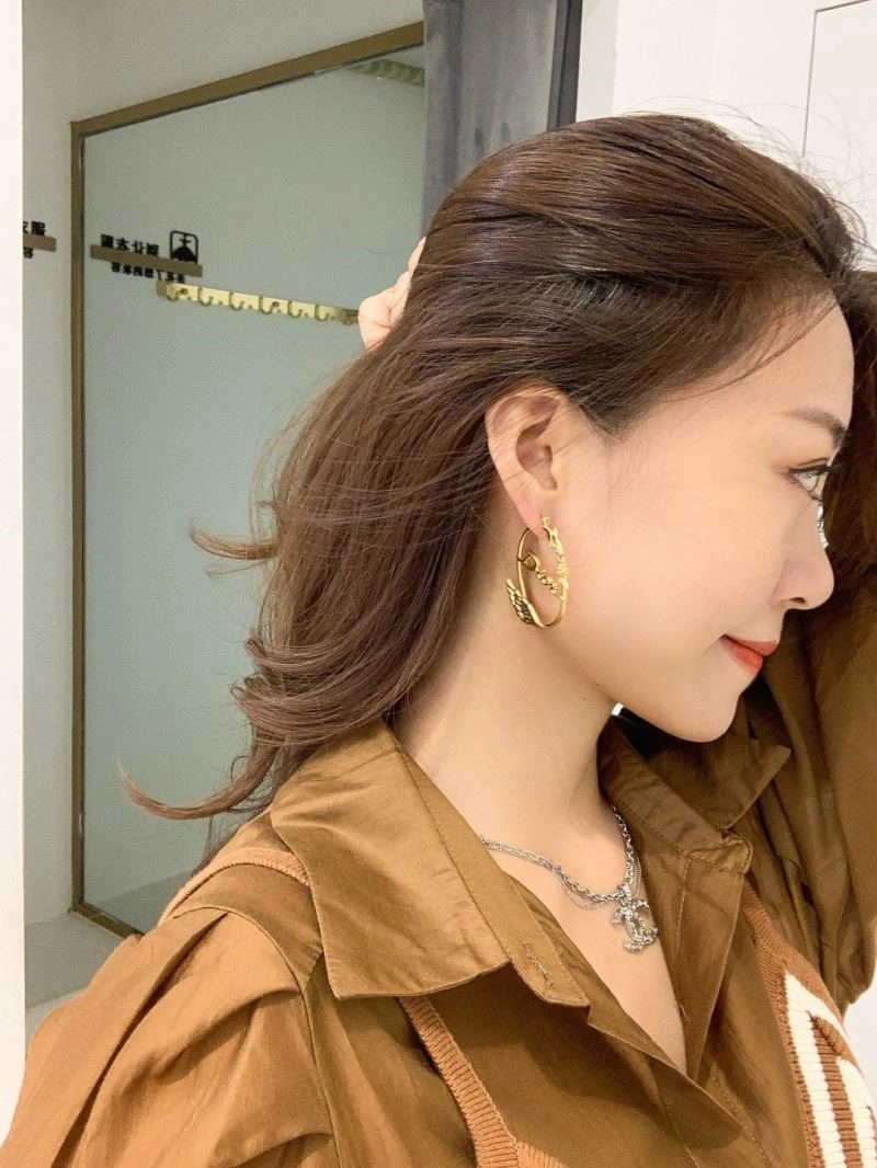 Mirror quality Christian Dior Earrings