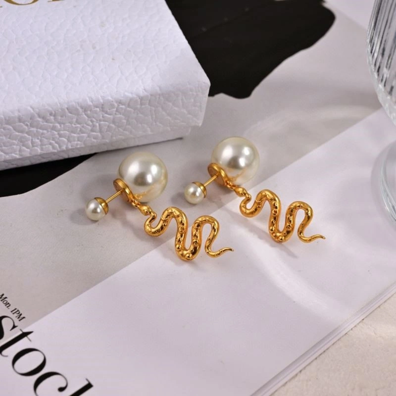 Christian Dior Earrings
