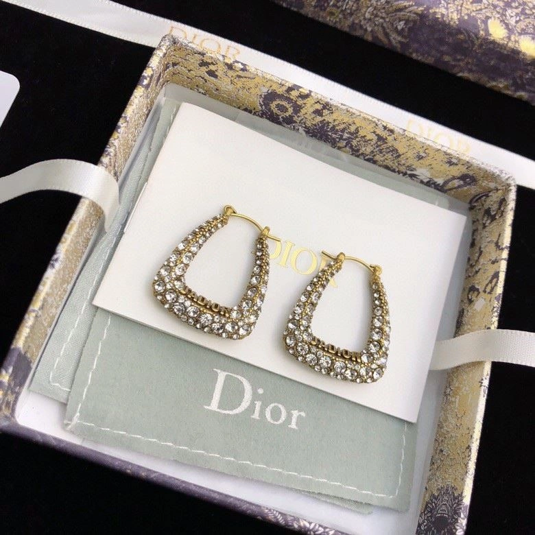 Cut-rate Christian Dior Earrings