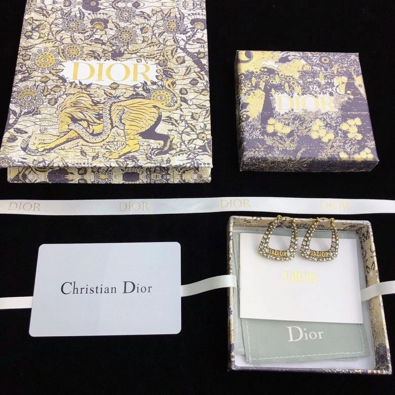 Cut-rate Christian Dior Earrings