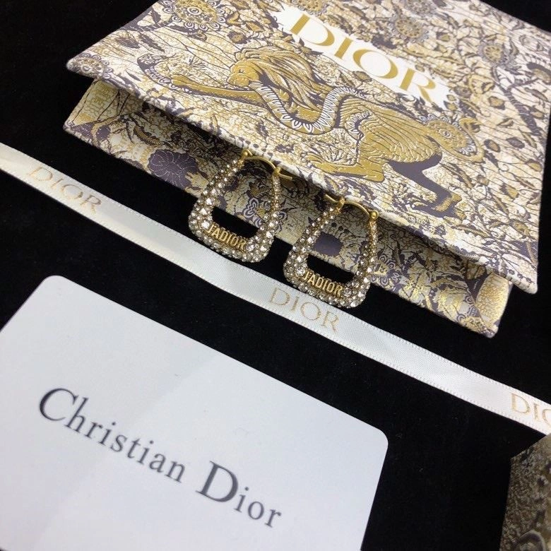 Cut-rate Christian Dior Earrings