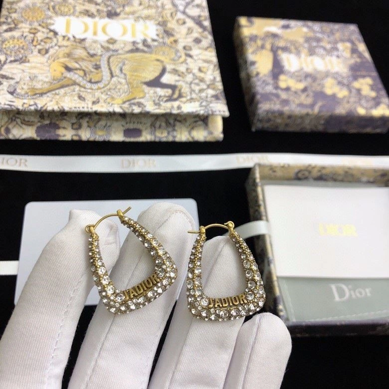 Cut-rate Christian Dior Earrings