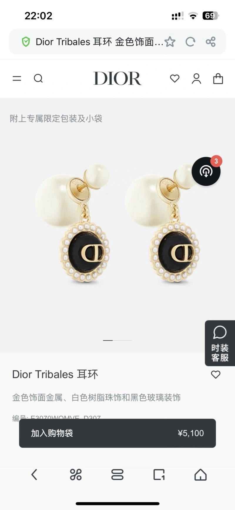 Christian Dior Earrings