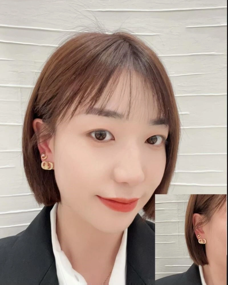 Indistinguishable Christian Dior Earrings