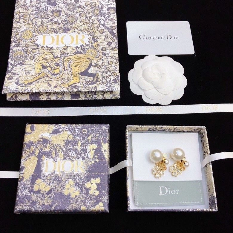 Bargain Christian Dior Earrings