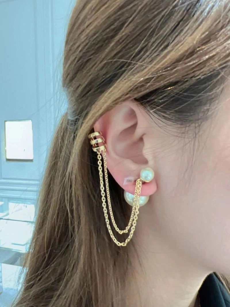 Economical Christian Dior Earrings