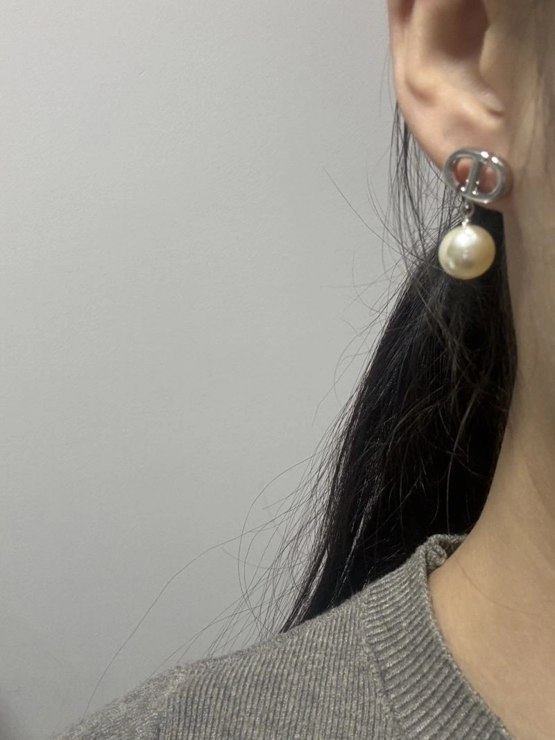 High accuracy Christian Dior Earrings