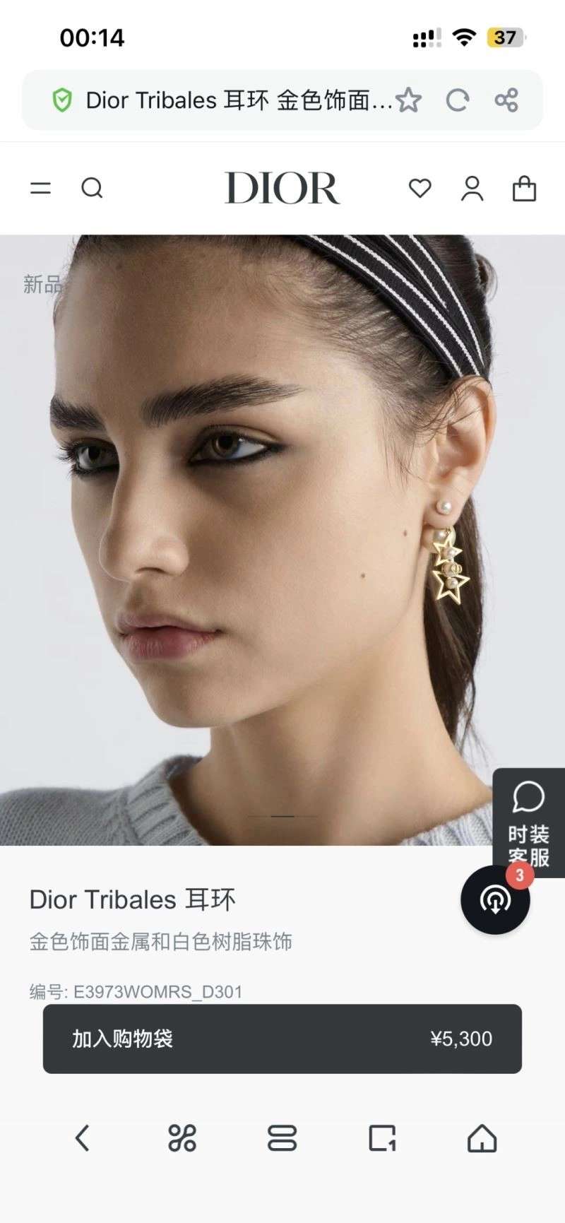 Discounted Christian Dior Earrings