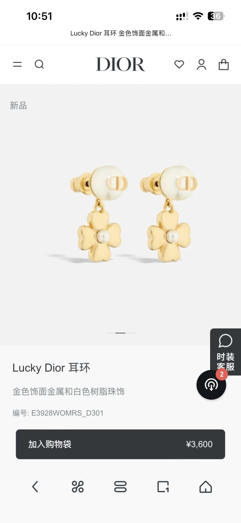 Christian Dior Earrings