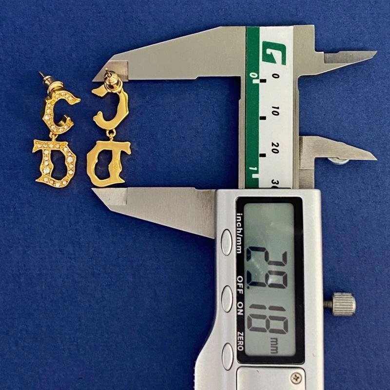 Economical Christian Dior Earrings