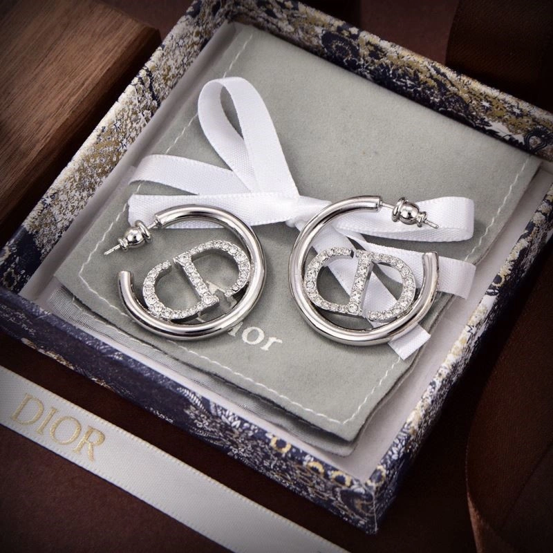 Christian Dior Earrings