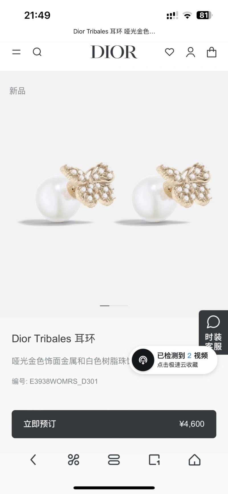 Christian Dior Earrings