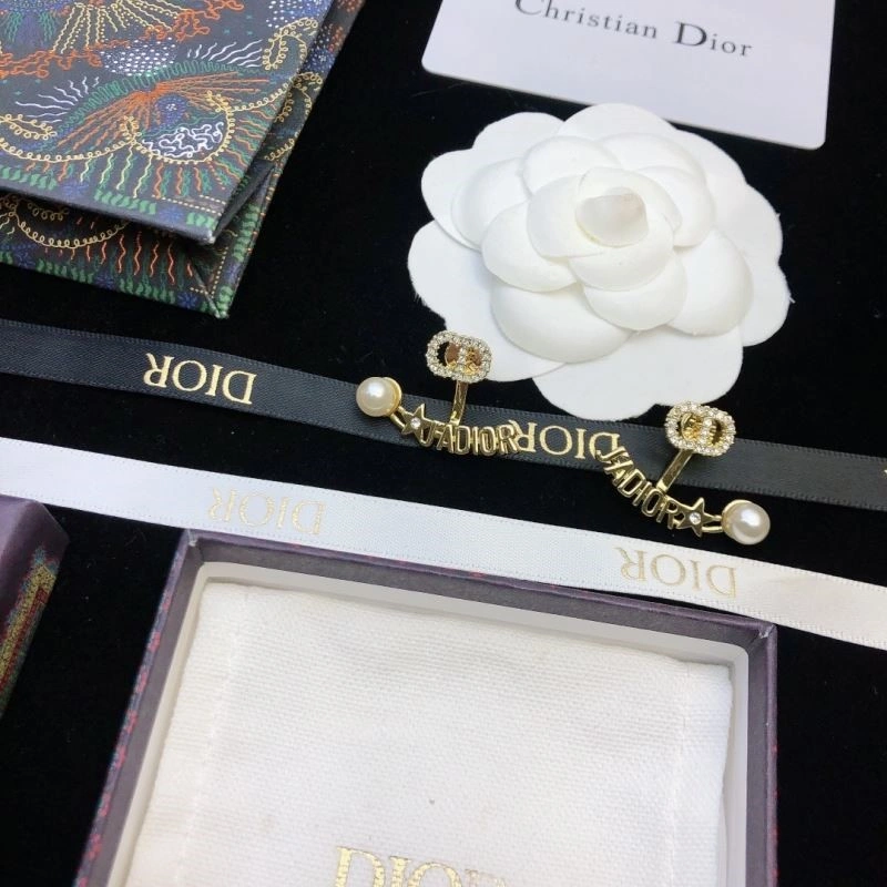 1:1 copy Christian Dior Earrings