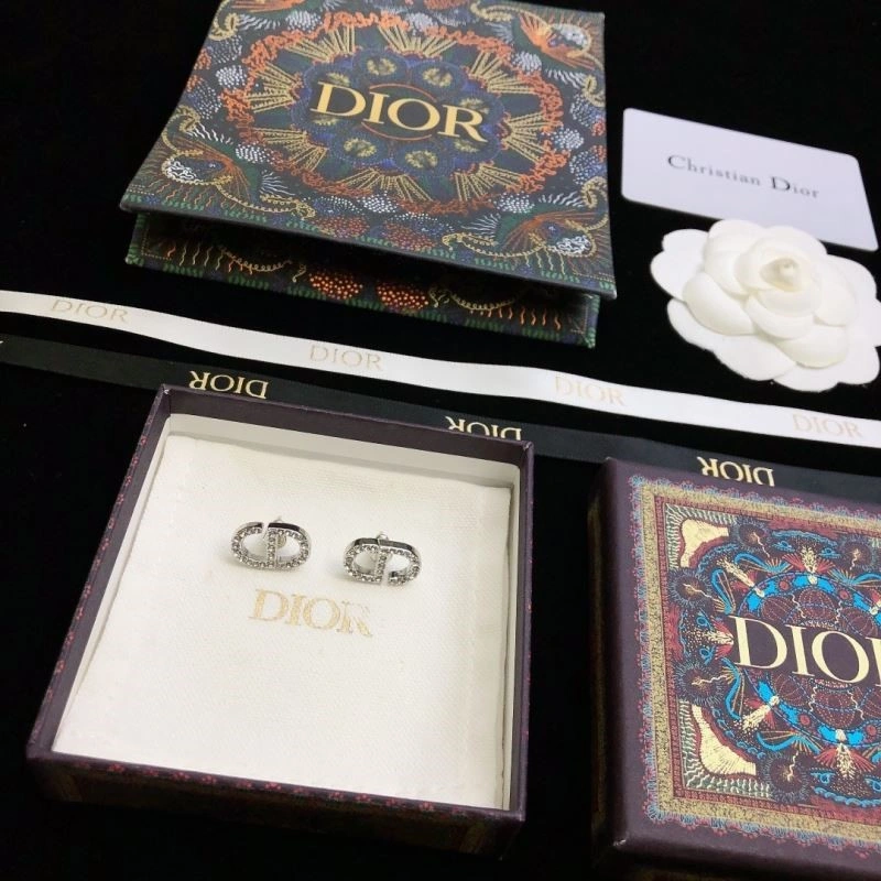 High accuracy Christian Dior Earrings