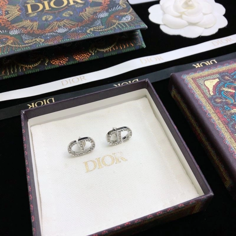 High accuracy Christian Dior Earrings