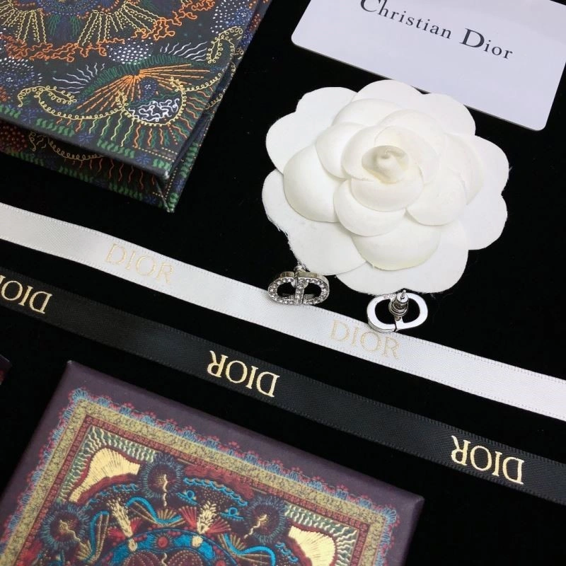 High accuracy Christian Dior Earrings