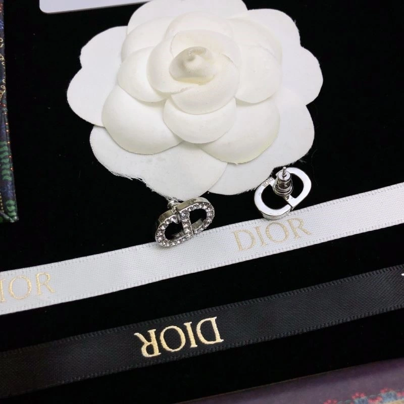 High accuracy Christian Dior Earrings
