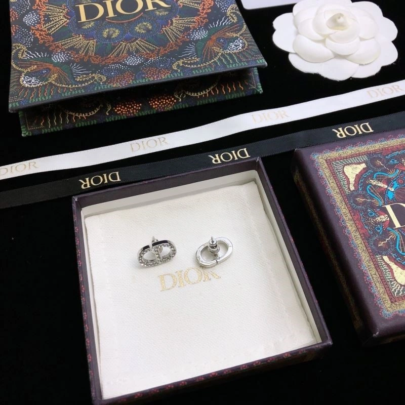 High accuracy Christian Dior Earrings
