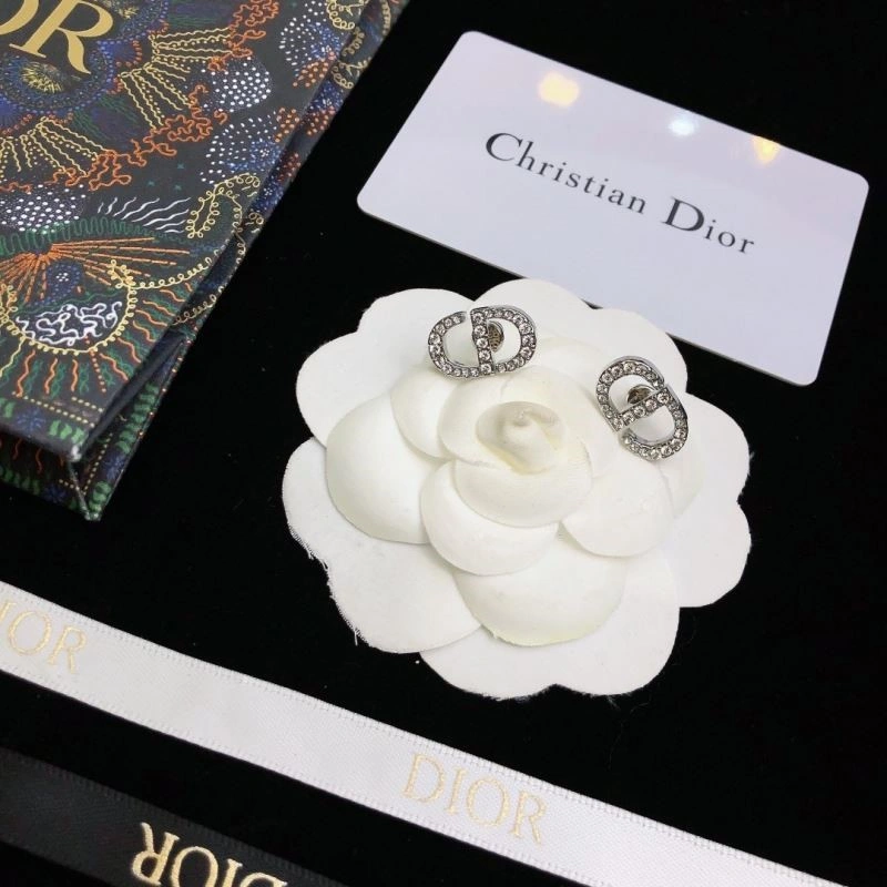 High accuracy Christian Dior Earrings