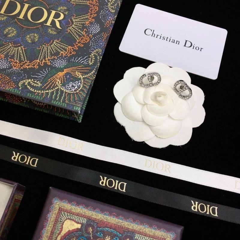 High accuracy Christian Dior Earrings