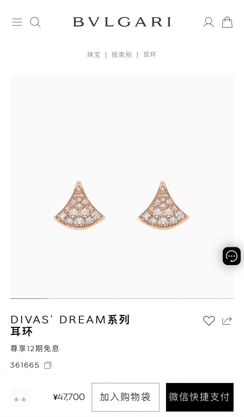 Christian Dior Earrings