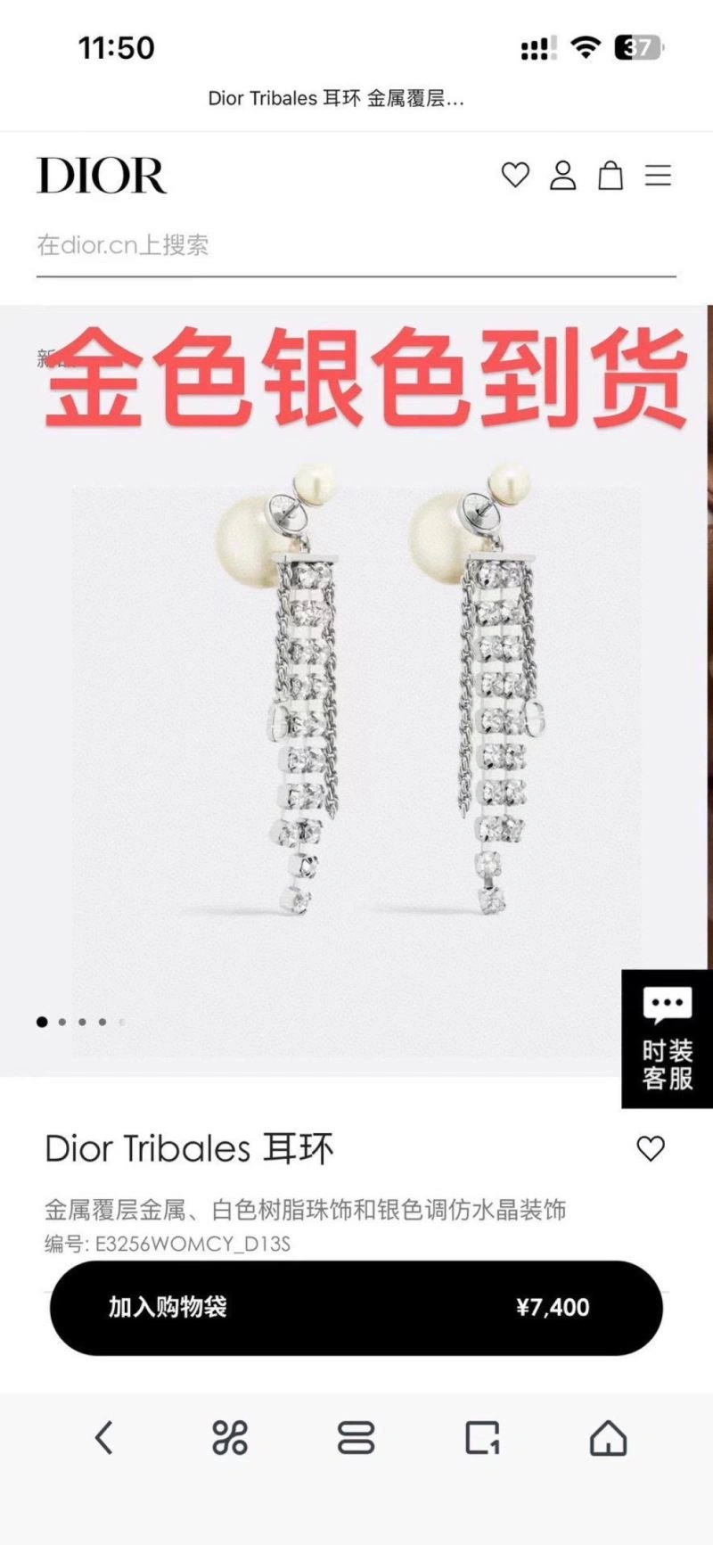 Economical Christian Dior Earrings