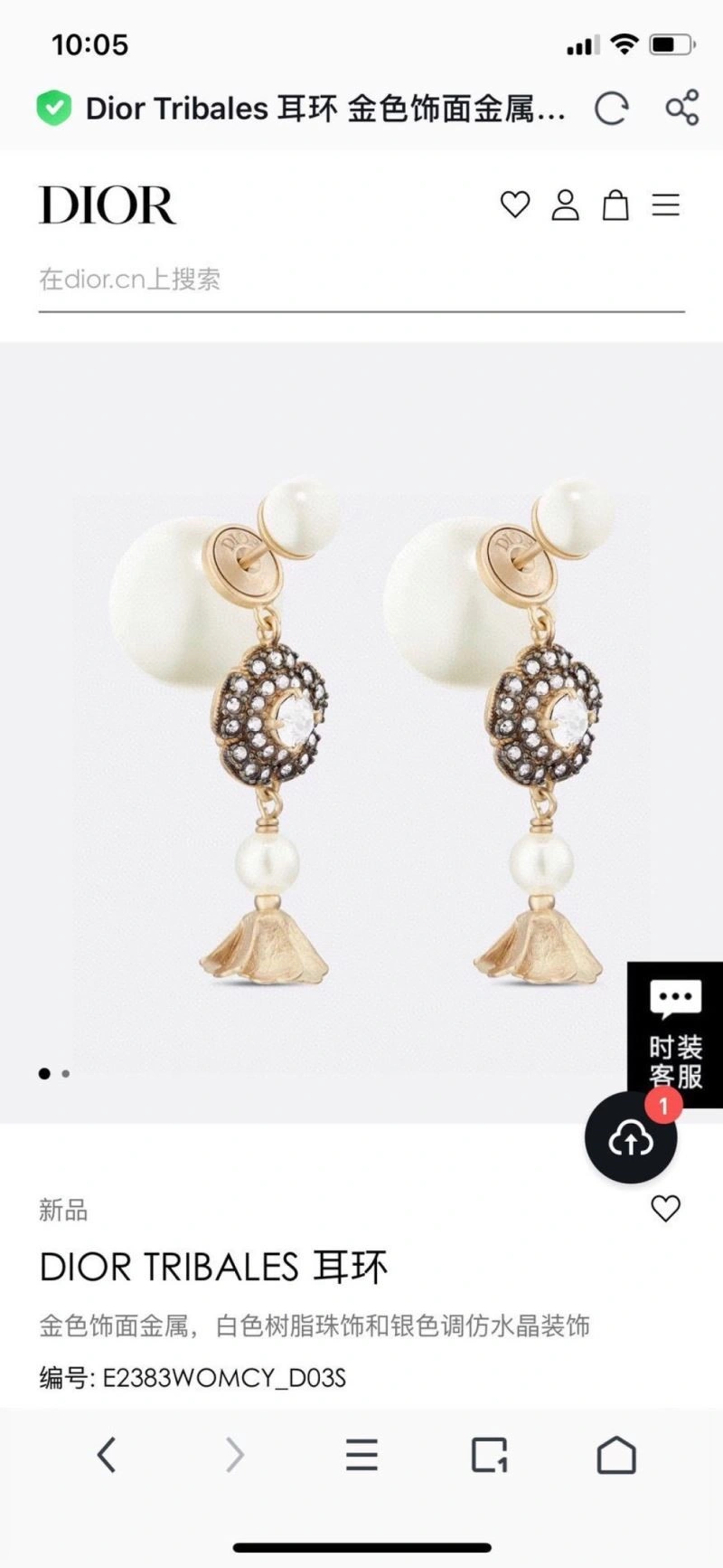 OEM Christian Dior Earrings
