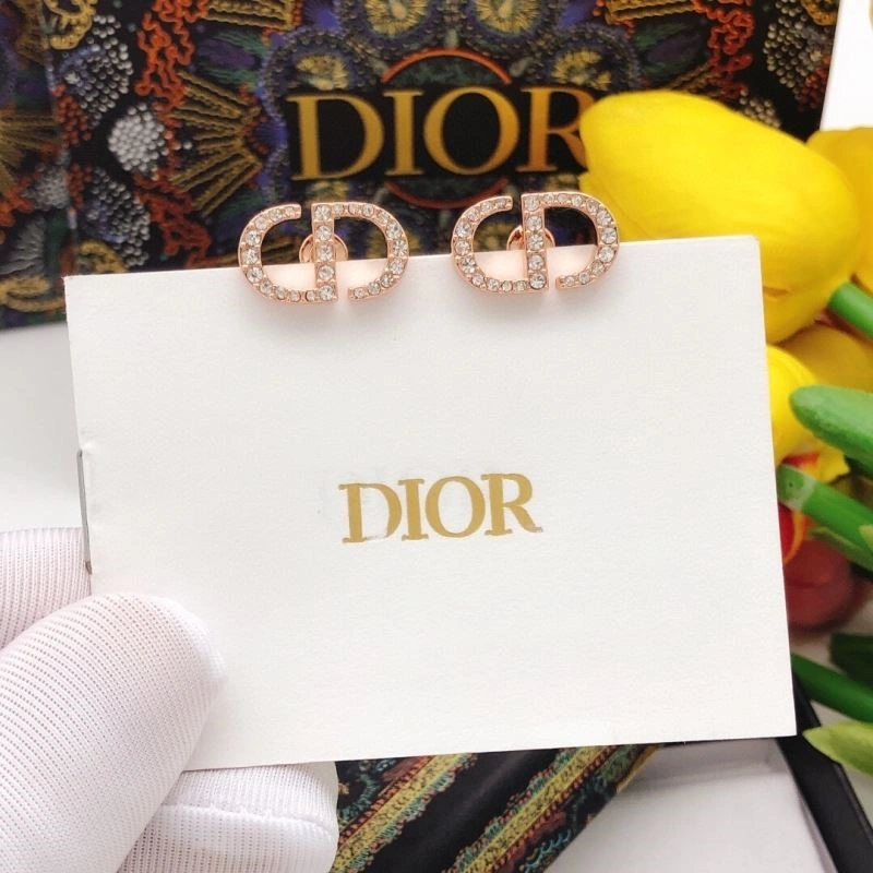 Cut-rate Christian Dior Earrings