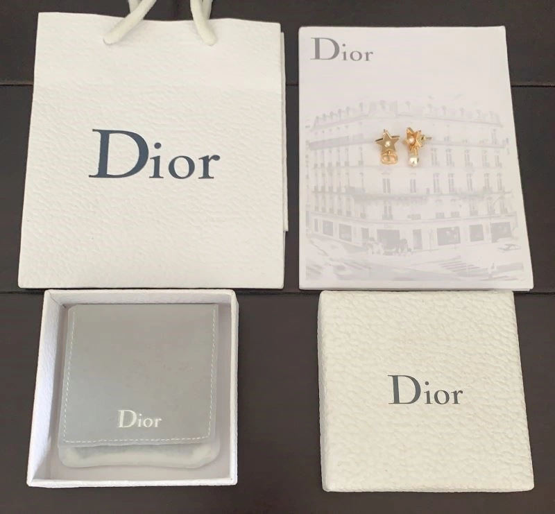 Accurate model Christian Dior Earrings