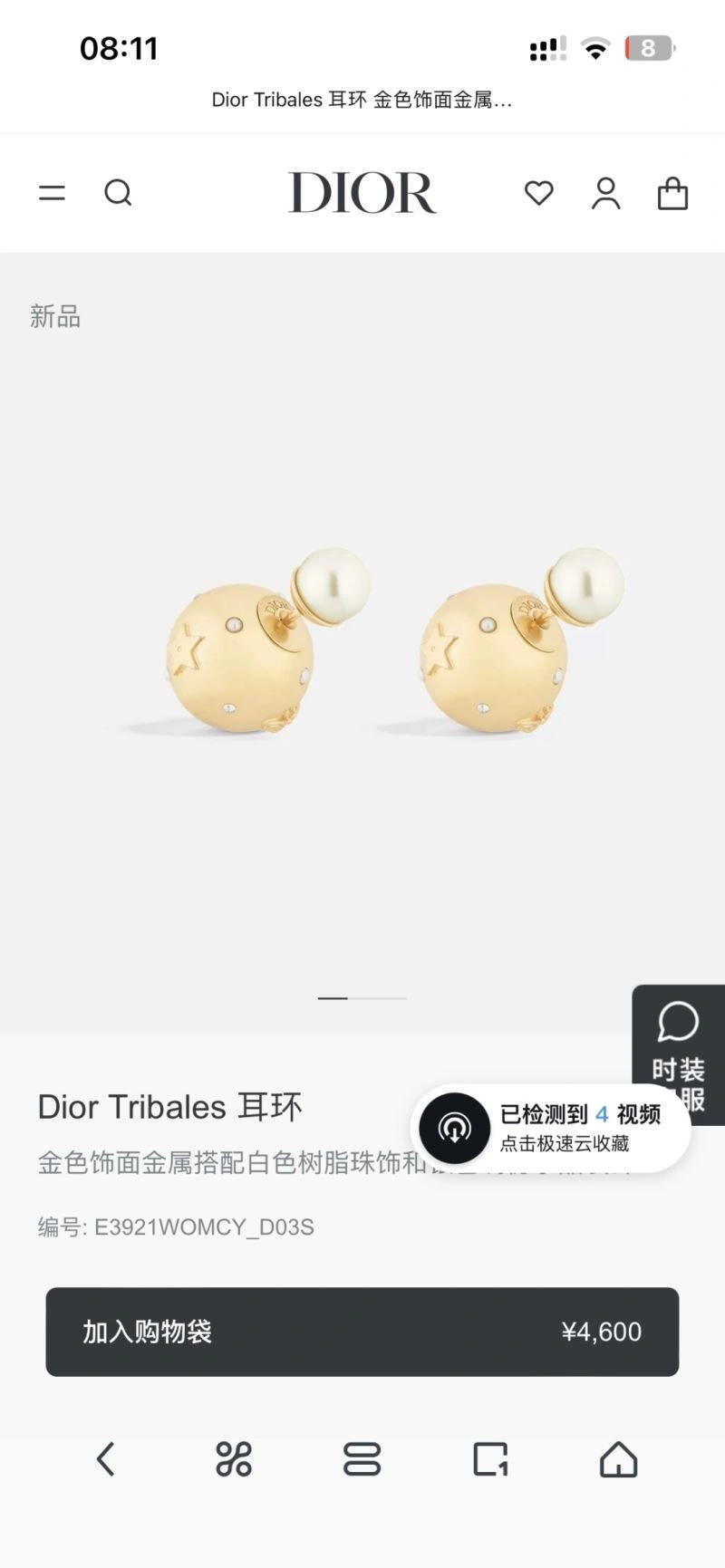 Christian Dior Earrings
