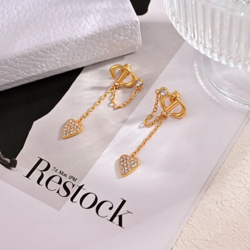 Brand-original Christian Dior Earrings