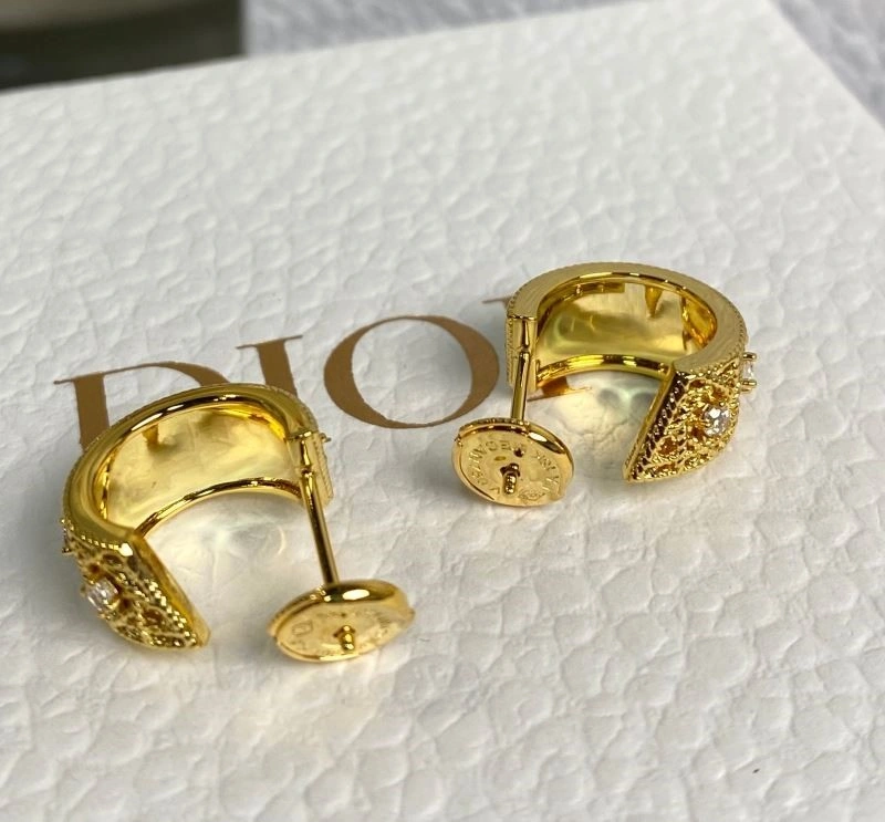Reasonably priced Christian Dior Earrings