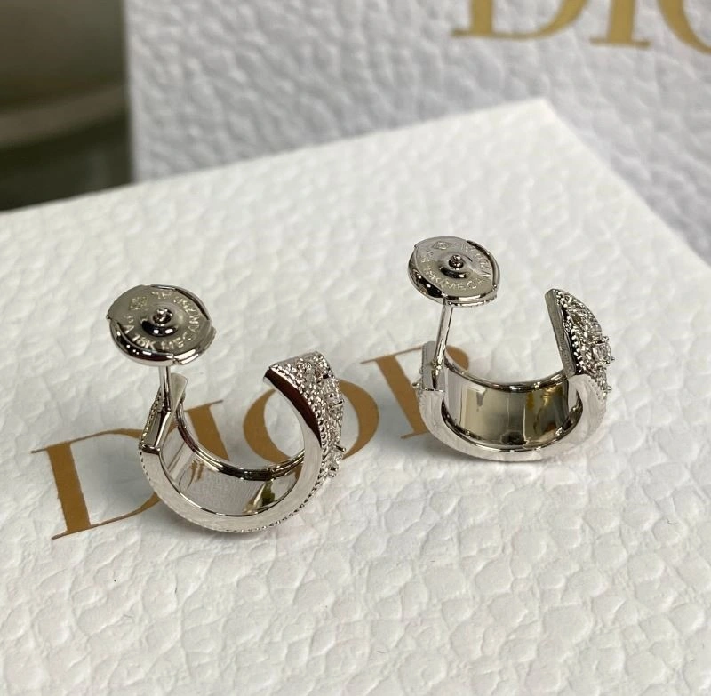 Reasonably priced Christian Dior Earrings